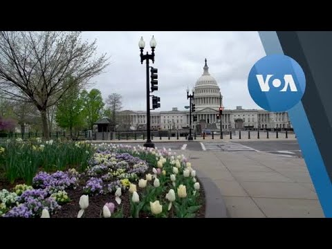 Karantindagi Vashington