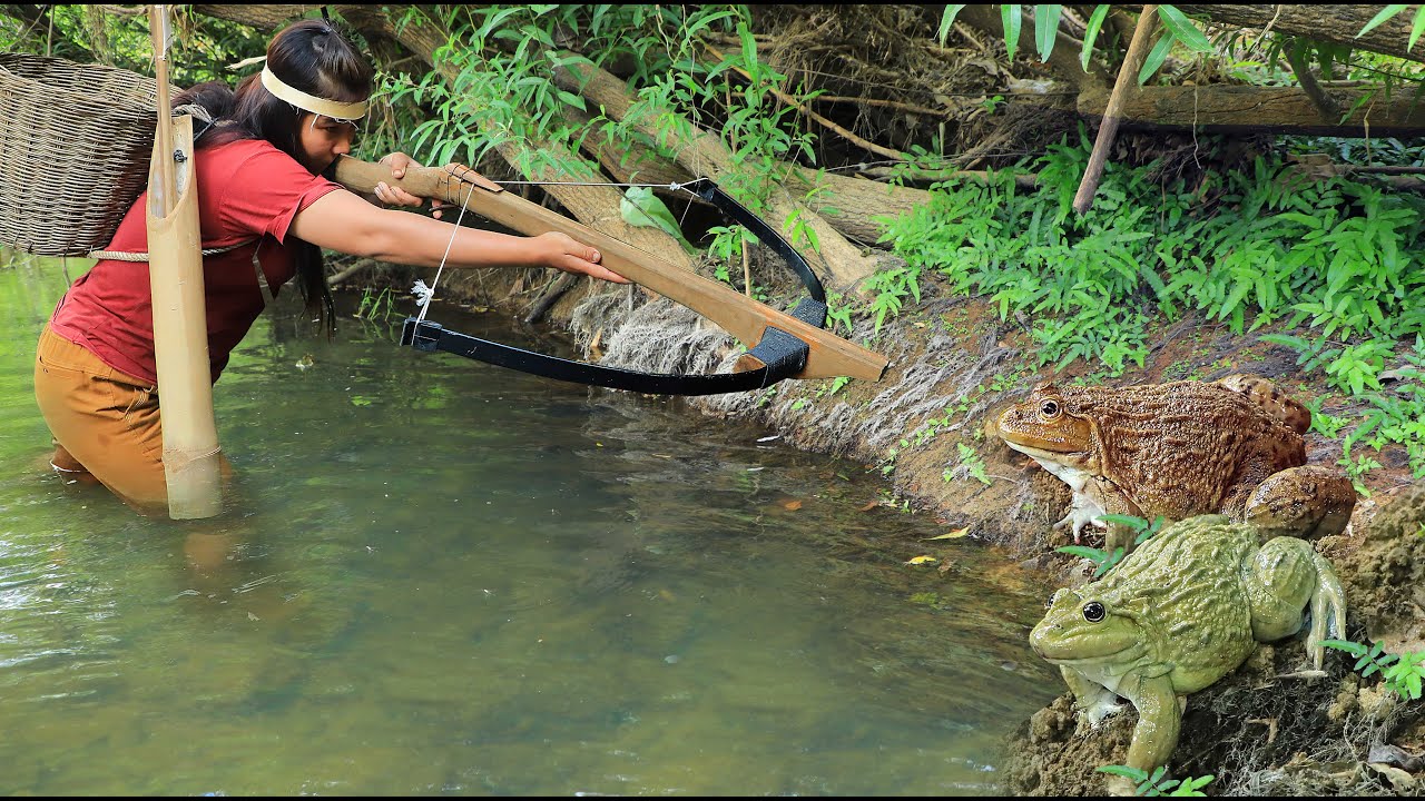 survival in the rainforest - Good at shooting frogs (Sponsored by ...