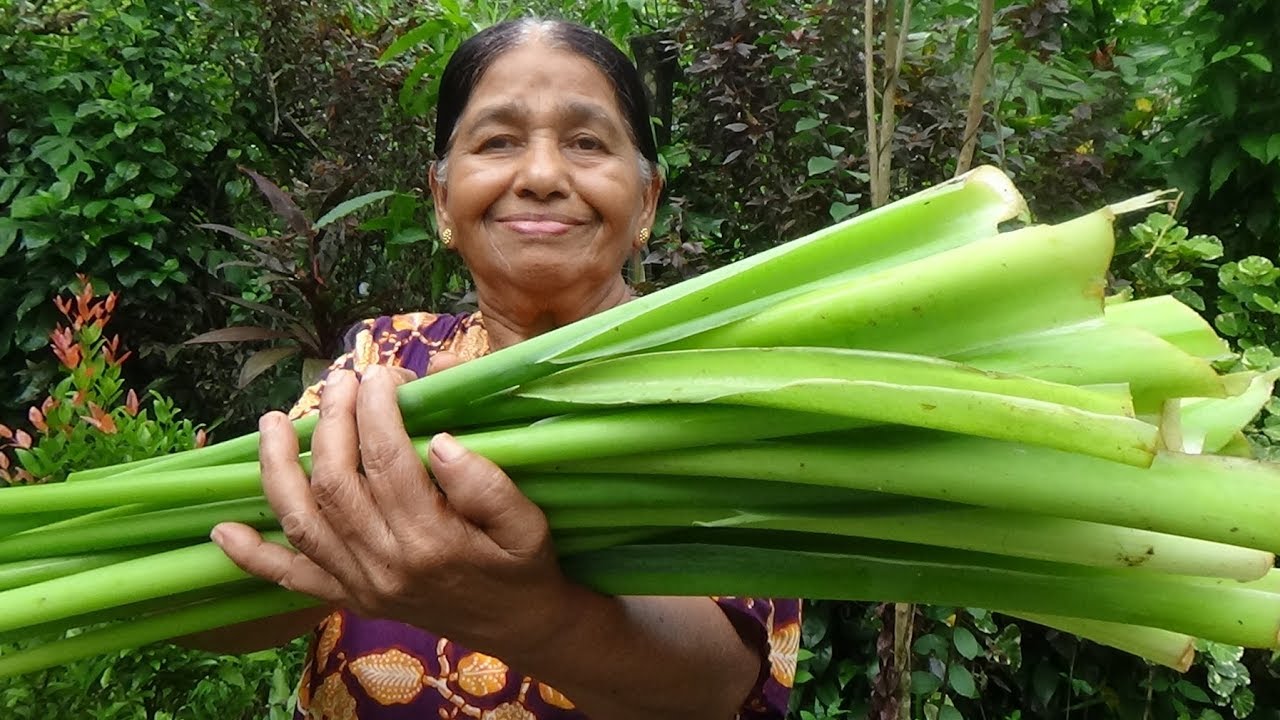 Healthy Village Foods Cooking Green Taro Stem in my Village by my Mom ...