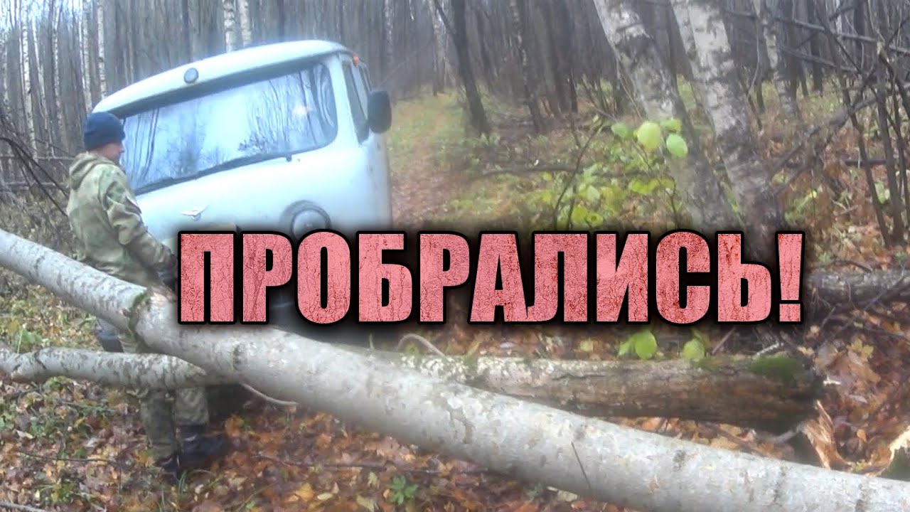 НАШЛИ СТАРУЮ ДЕЛЯНКУ! ТРАКИ, ЗАПЧАСТИ, БЕЗДОРОЖЬЕ, ЛЕС! ШИКАРНАЯ ...