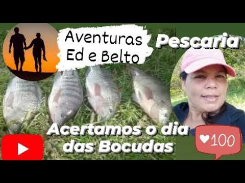 Acertamos o dia das Bocudas/ Aventuras ED e BELTO Pescaria #pescaria # ...