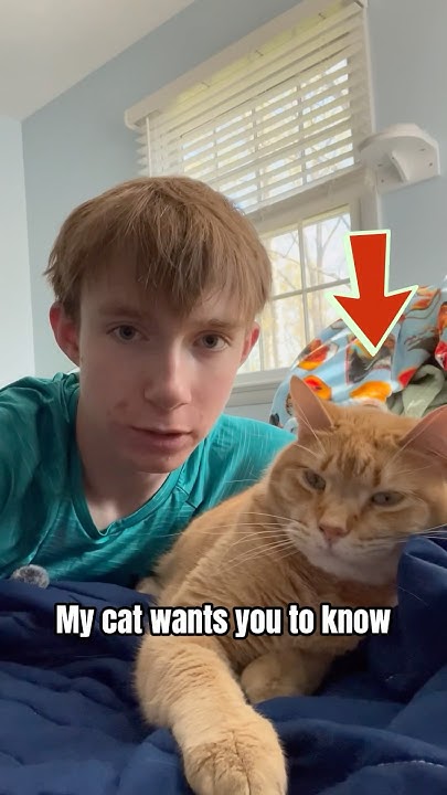 My cat wants you to know this #shorts - YouTube