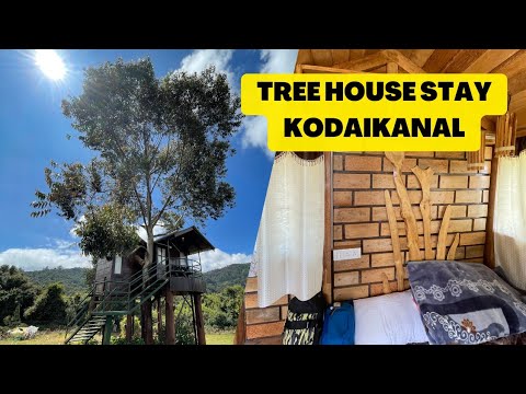 TREE HOUSE STAY - EAGLE WOODS COTTAGE KOOKAL | Best Stay in Kodaikanal ...