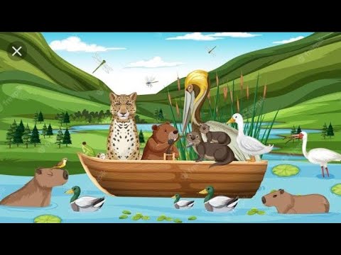 BATH TIME FOR SEA ANIMALS FARM ANIMALS WILD ZOO ANIMALS #3D - YouTube