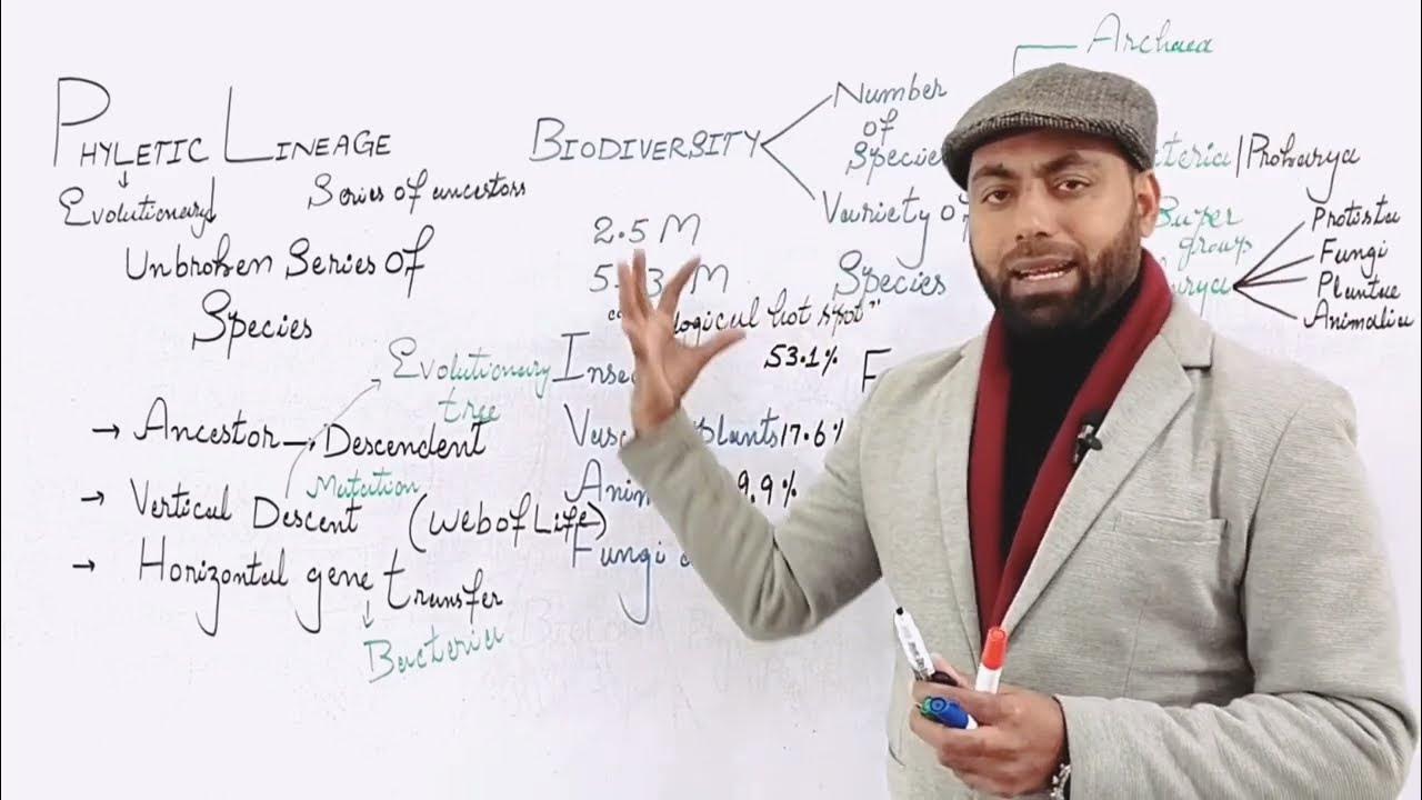 Phyletic Lineage by Zubair Ali|F.Sc Class 11|Chapter#1|Lecture 8 - YouTube