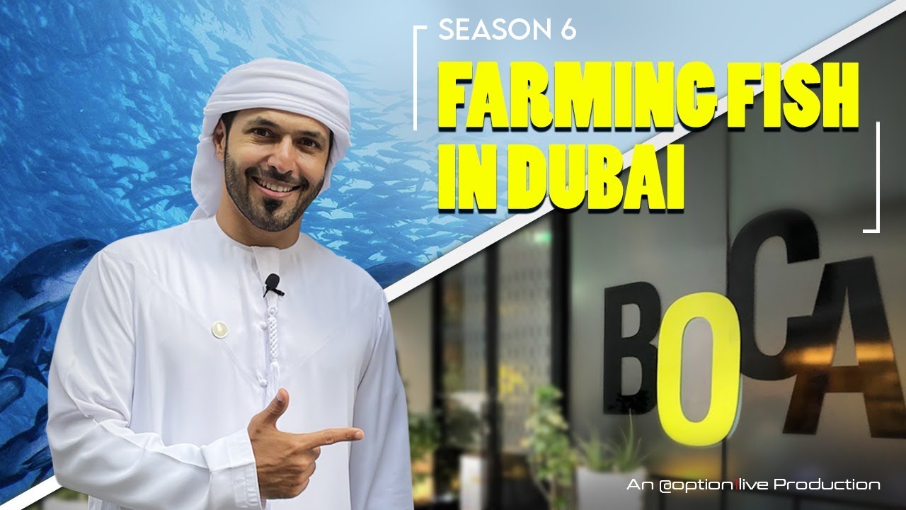 FARMING FISH IN DUBAI - YouTube