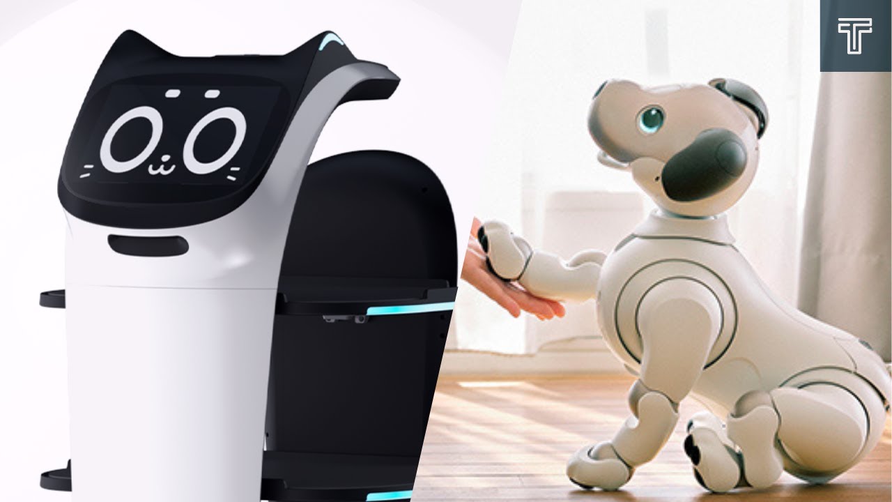 Coolest AI Inventions You Didn’t Know About - YouTube