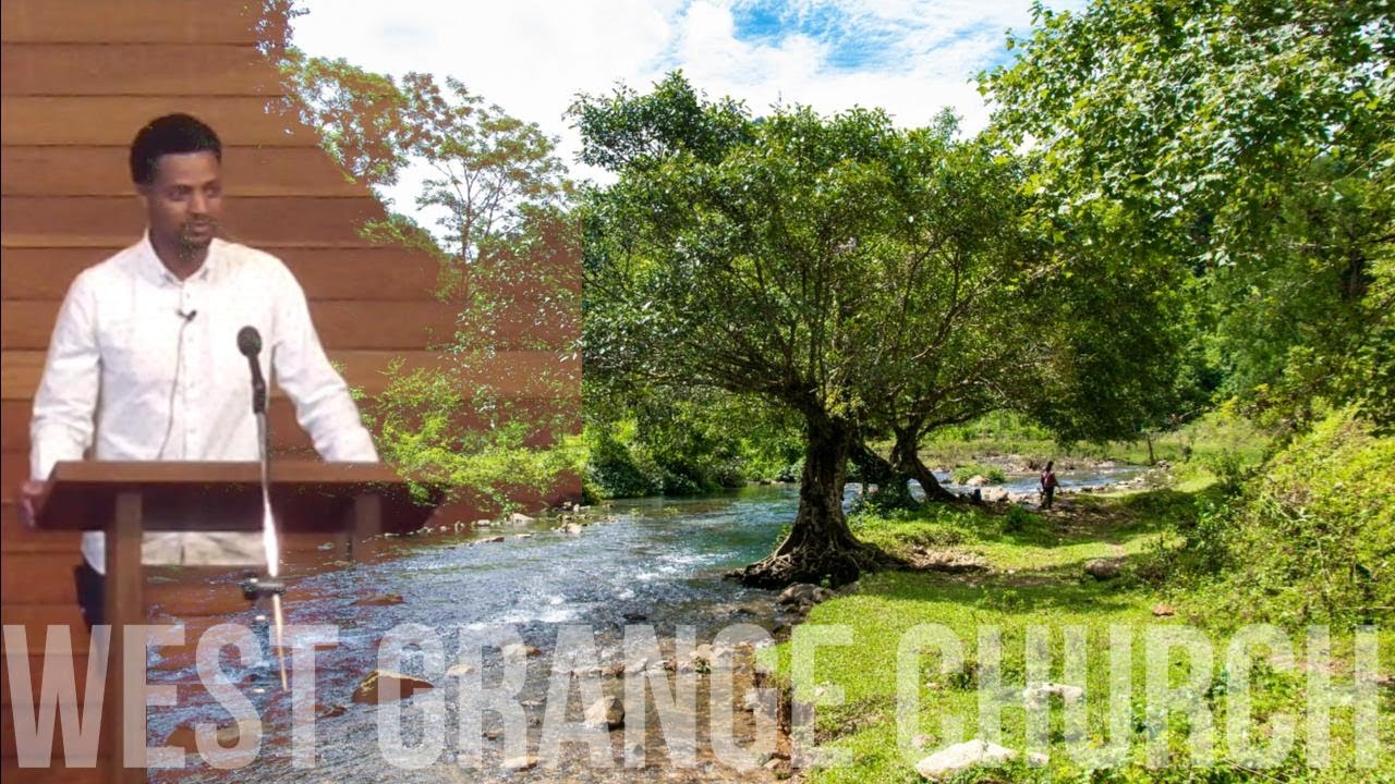 28th July 2024 - How the righteous live - Psalm 1- Fernando Fragoso ...