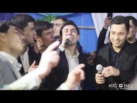 ALLAS AKMYRADOW EJEMJAN TOY PURSADY
