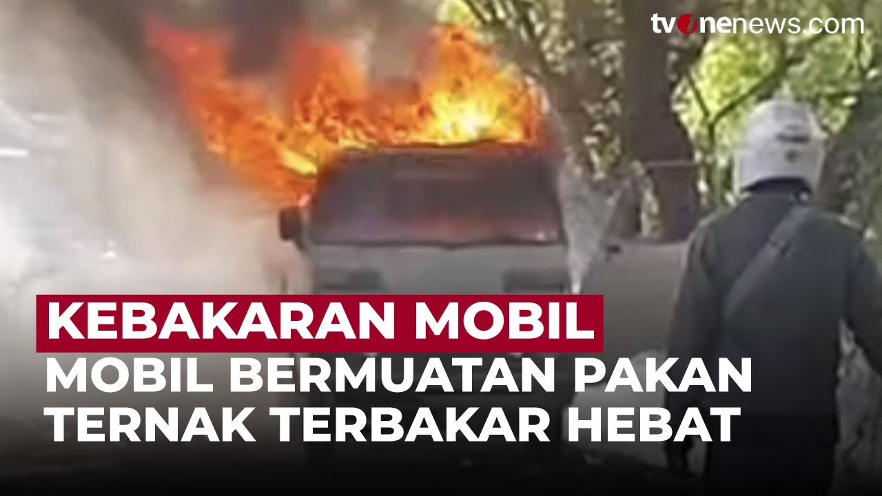 Kobaran Api Besar Bakar Mobil Pakan Ternak di Jawa Timur | OneNews ...
