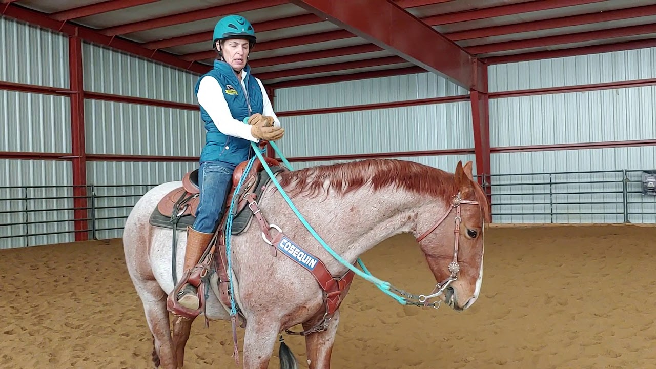 Daily Dose of Horsemanship Homework: Using Indirect Rein - YouTube