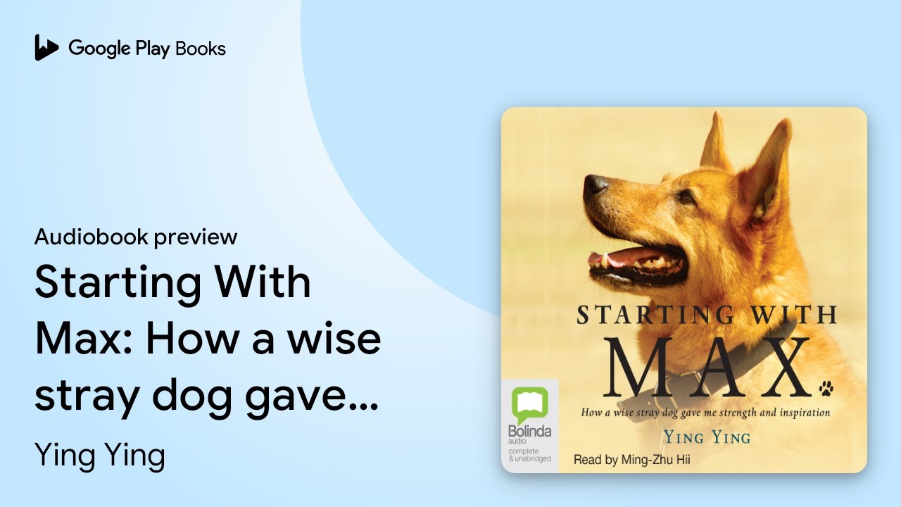 Starting With Max: How a wise stray dog gave me… by Ying Ying ...