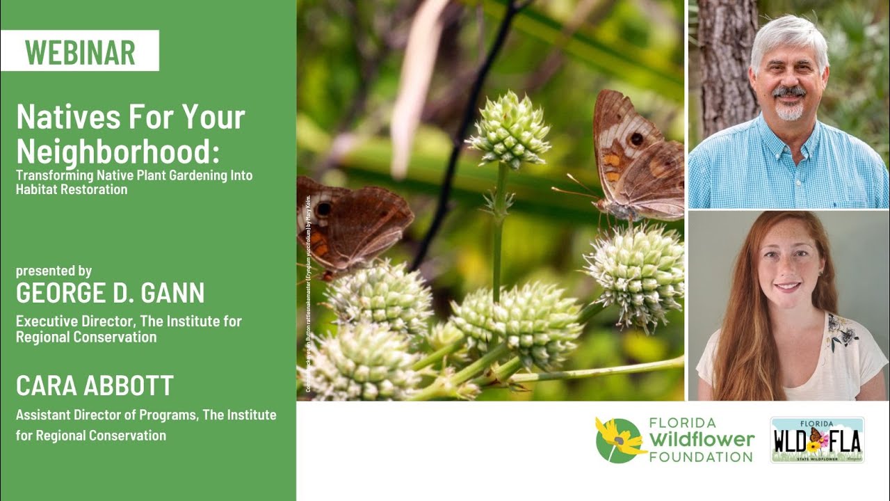Natives For Your Neighborhood: Transforming Native Plant Gardening Into ...