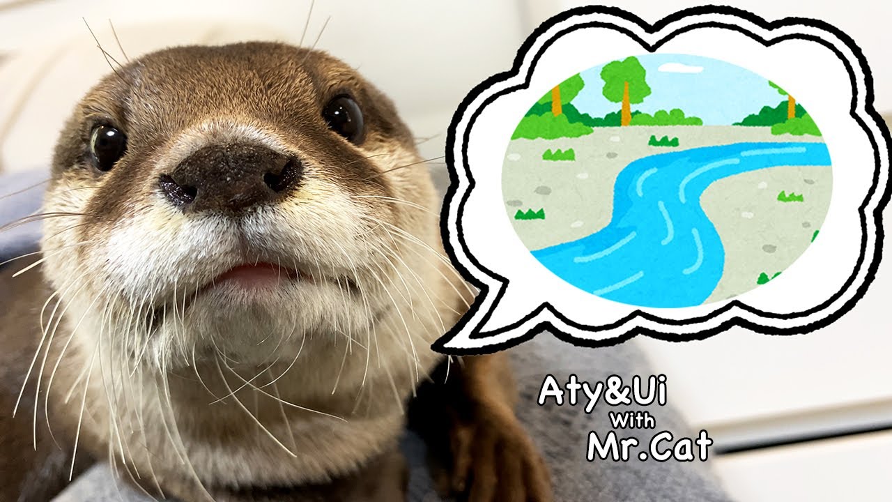 A Day in the Life of Aty - YouTube