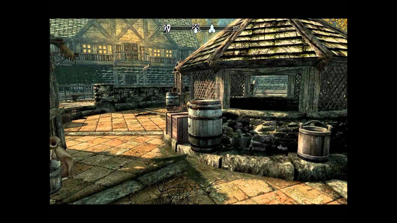 Skyrim Speech Pickpocket Leveling Technique HD 100 Pickpocket skyrim-speech-pickpocket-leveling-technique-hd-100-pickpocket