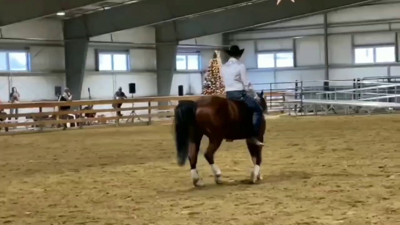 Rio Homestead Stables bareback and bridleless demo - YouTube