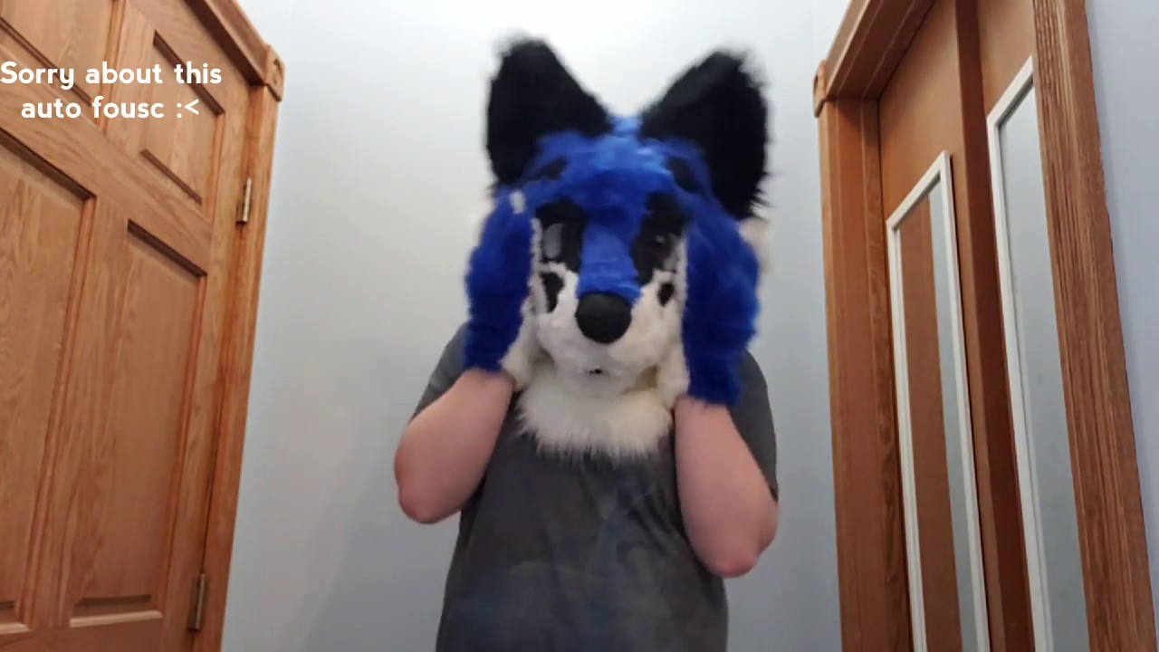 How to Communicate with a Deaf Fursuiters - YouTube