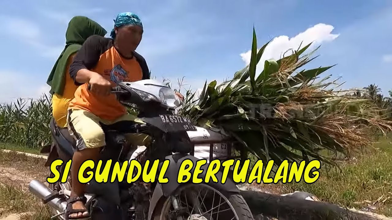 [FULL] SI GUNDUL BERTUALANG | JEJAK SI GUNDUL (08/08/22) - YouTube