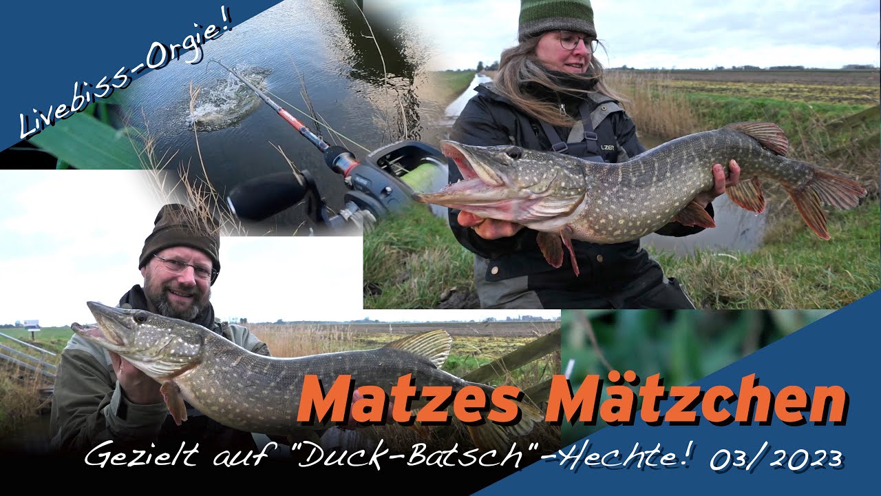 Matze Koch: Angeln auf "Duck-Batsch-Hechte!" - Matzes Mätzchen 03/2023 ...