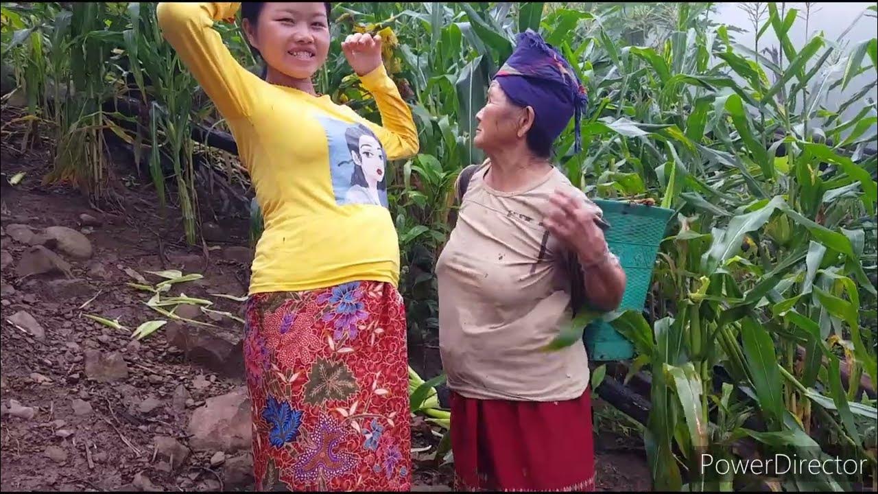 Ntxhiav maiv tooj zag plab me nyuam pom kawg lawm June 25, 2023 - YouTube