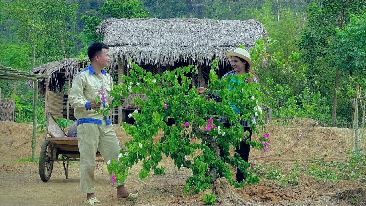 The joy of the young couple: DUONG planted another beautiful flower ...
