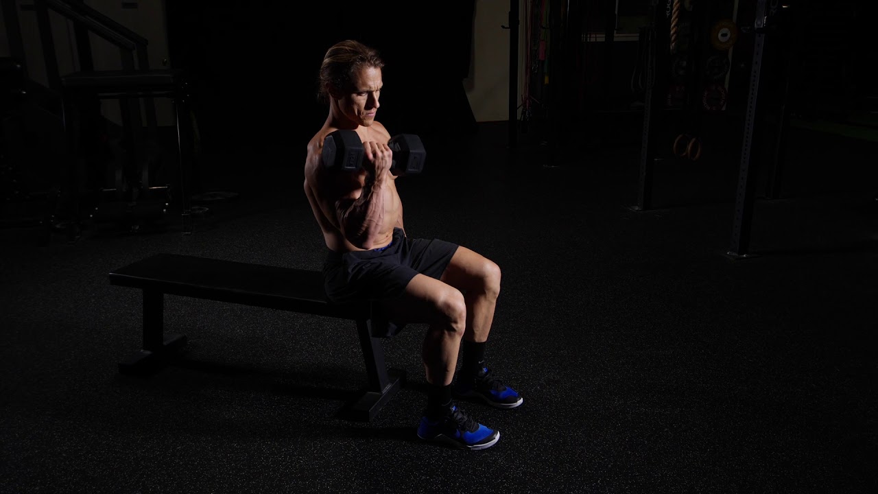Seated Alternating Dumbbell Curl - YouTube
