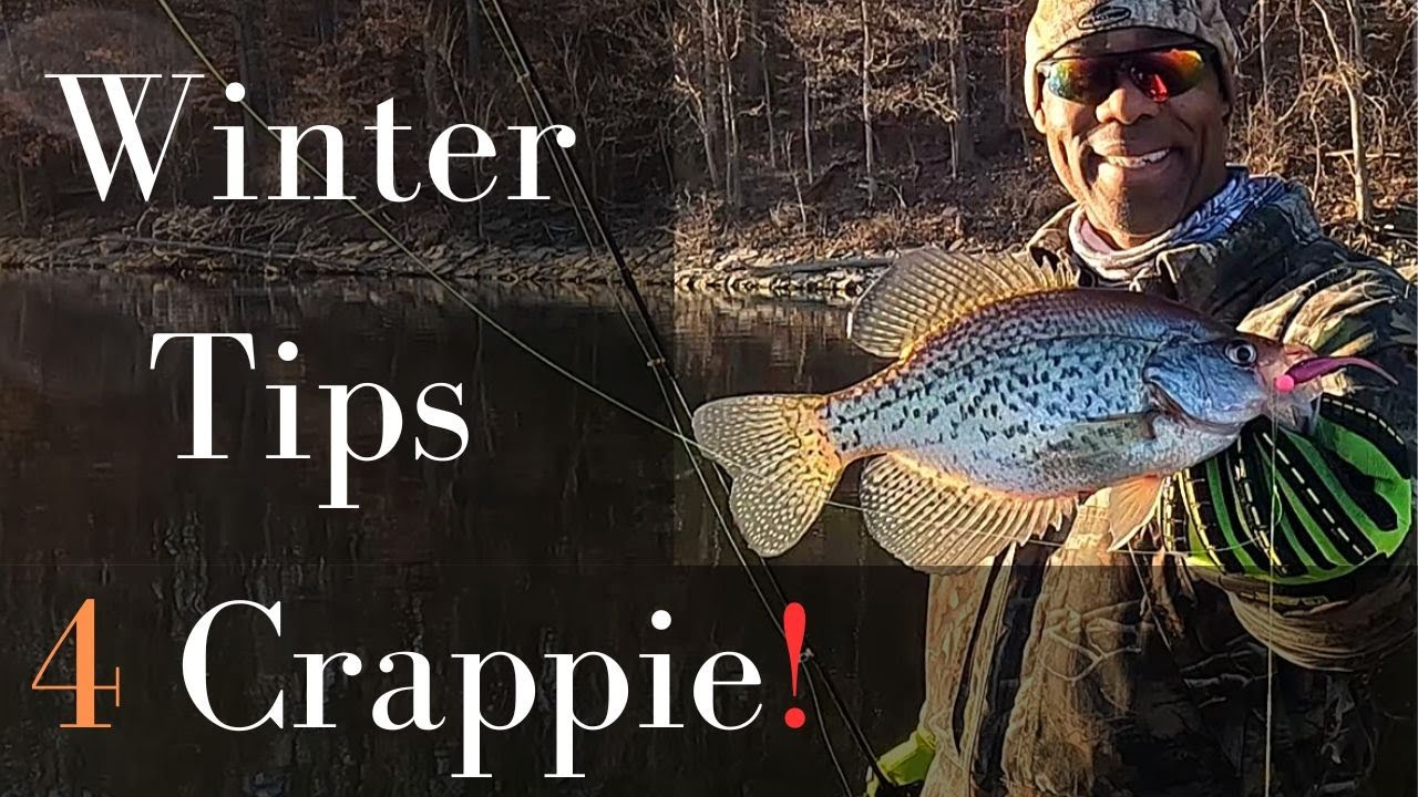 Winter Crappie Fishing Tips: Uncover the Secret of Stump Stacked ...