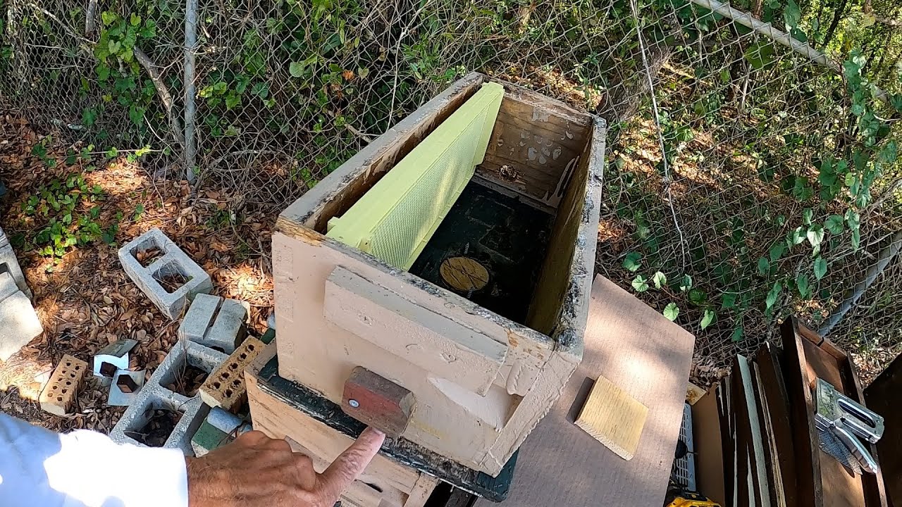 Make Great Queens In Junk Boxes - YouTube