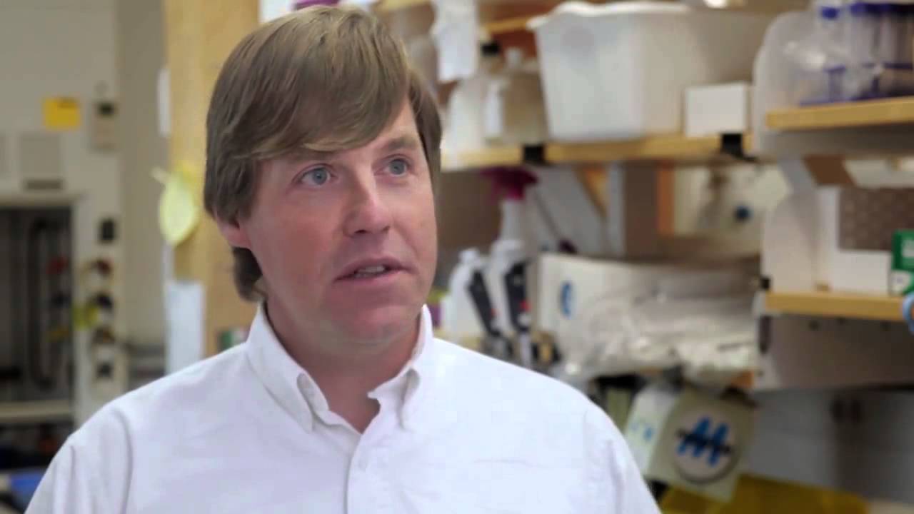 Research in a minute: Jonathan Dennis - YouTube