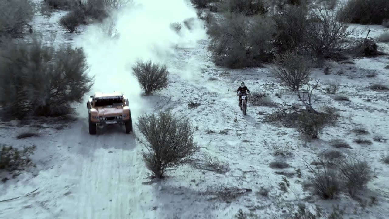 ROOST - Mark Samuels - YouTube