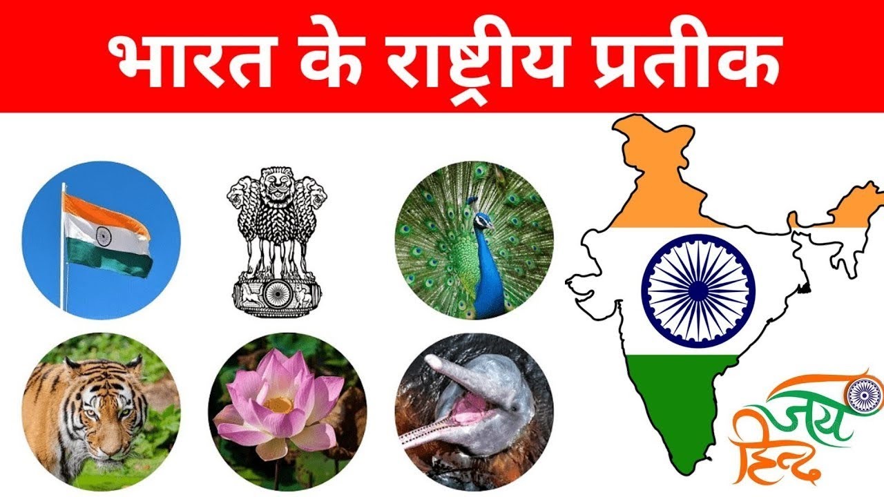 भारत की राष्ट्रीय प्रतिक | National Symbols of India | bharat ke ...