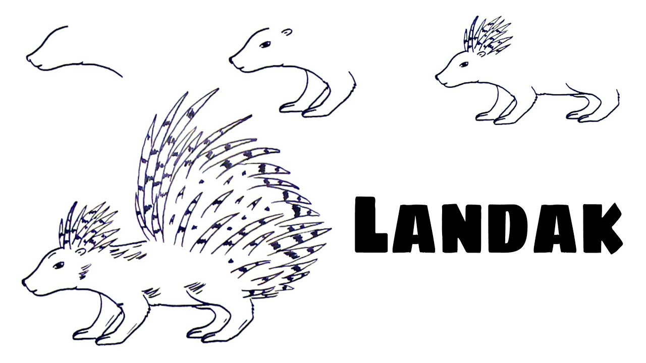 CARA MENGGAMBAR HEWAN LANDAK YANG MUDAH - YouTube