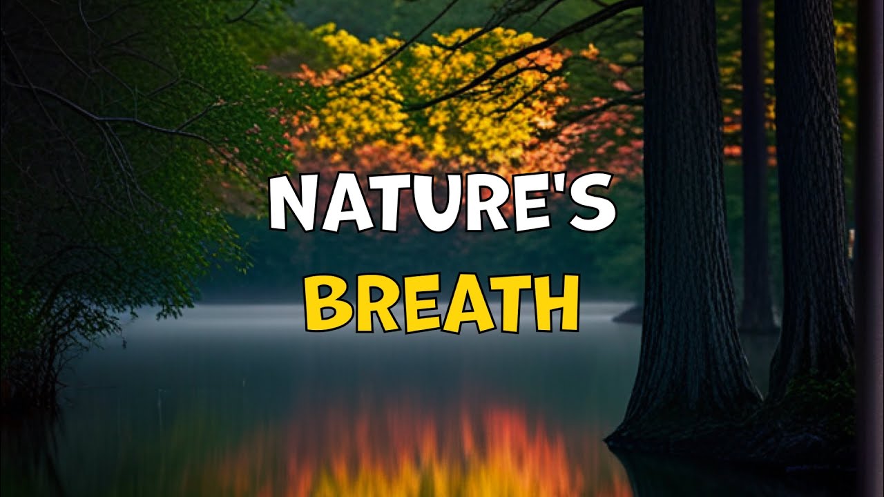 Guided Meditation, Relaxation and Breathing Techniques | Breathe in ...