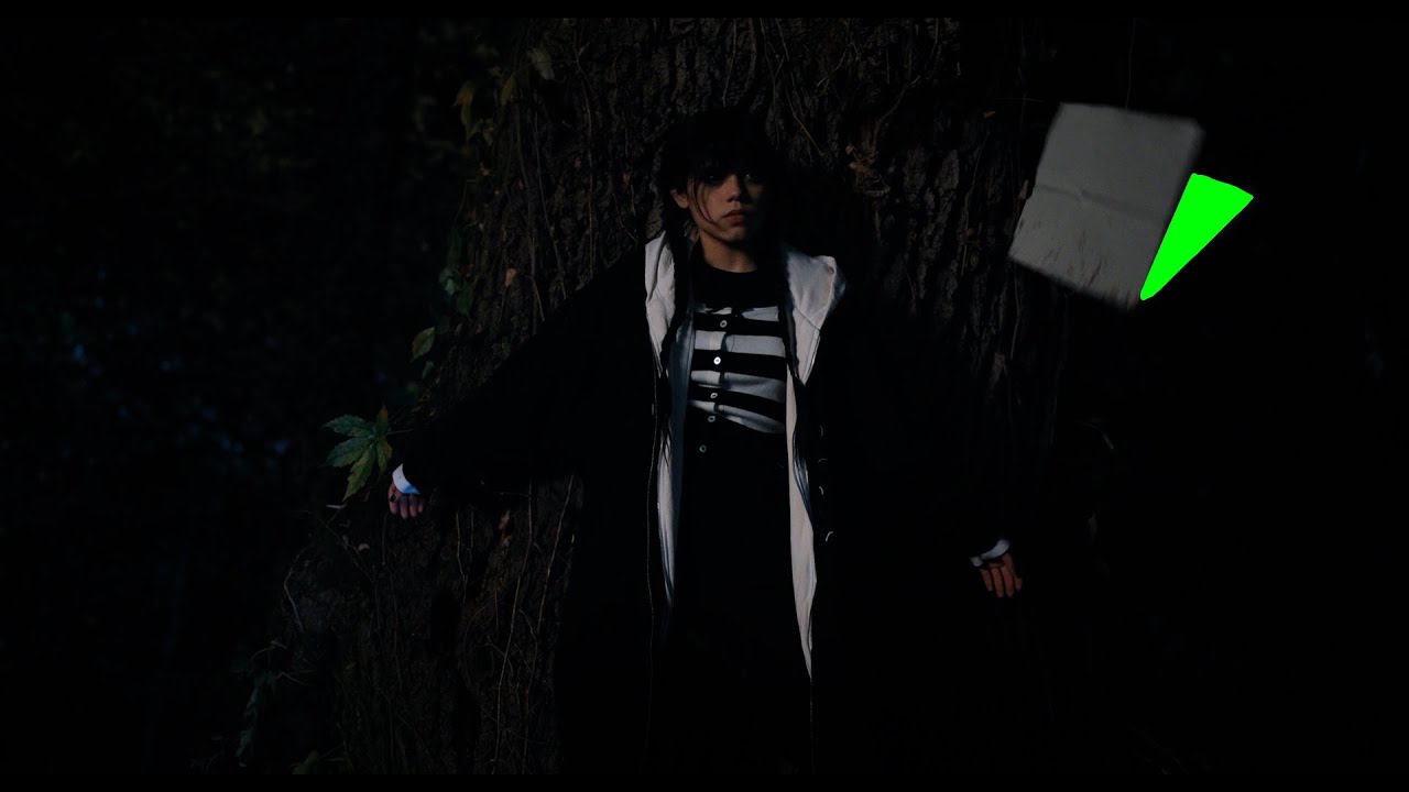 Wednesday "Girl in the Picture. That's you" Green Screen - YouTube