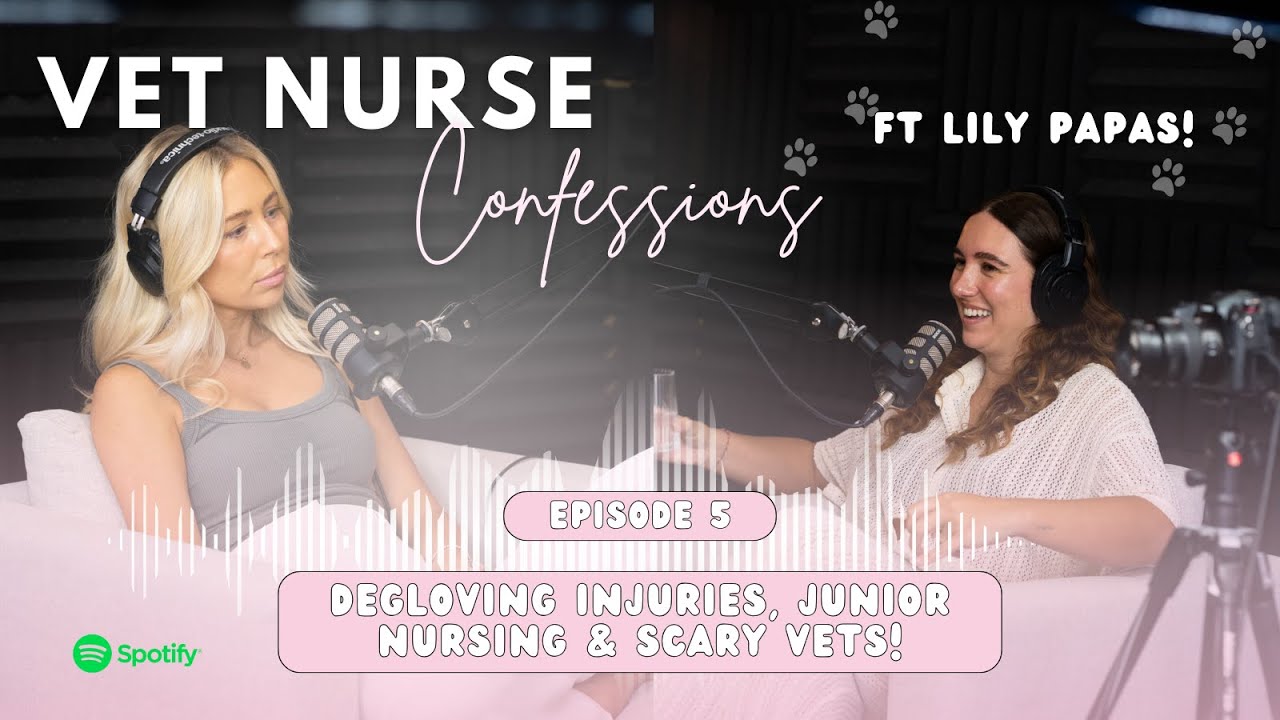 Degloving injuries, junior nursing & SCARY VETS with Lily the Vet Nurse ...