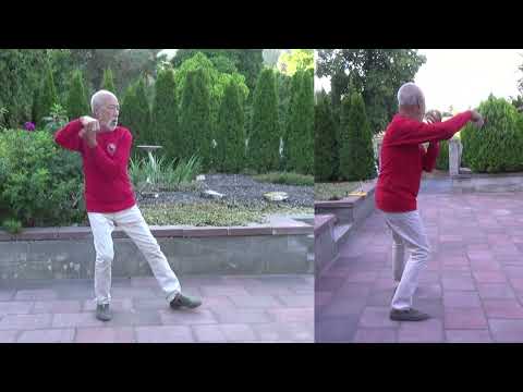 108 moves Moy TaiChi set - Move #31 to #33 Single Whip