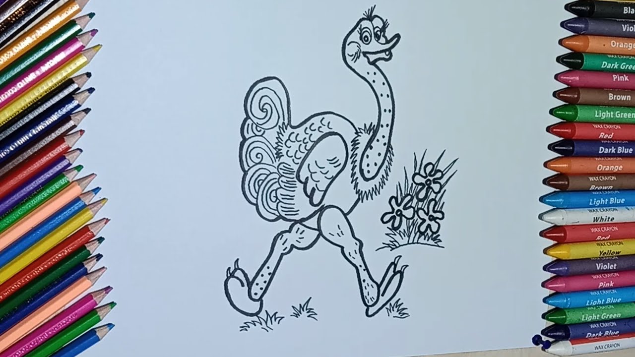 Learn How to Draw an Ostrich with Easy Steps for Kids Drawing Fun - YouTube