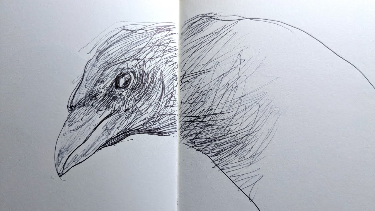 Why Negative Space is the Key to Better Thumbnail Sketches - YouTube