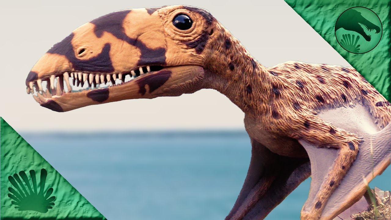 CollectA 2017 Dimorphodon || LIFE SIZE Pterosaur! - YouTube