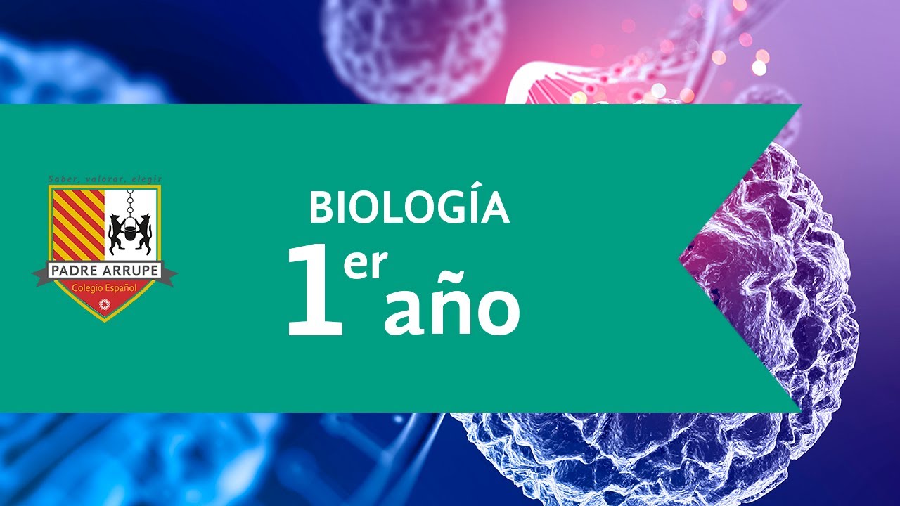 BIO100-S4-FASE1-Selección Natural y Deriva Genética. - YouTube