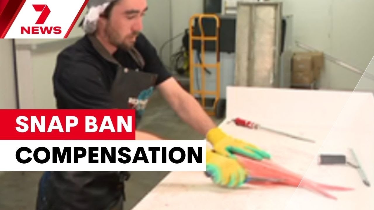 Snap ban compensation tied up in several month-long delay | 7NEWS - YouTube