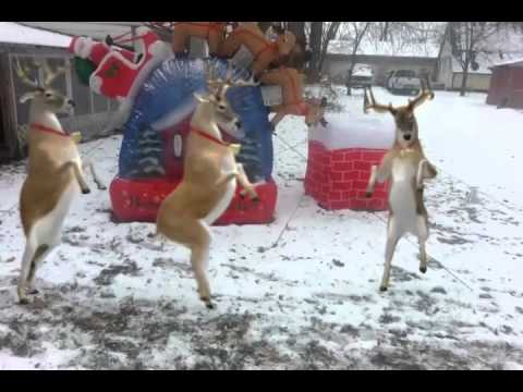 Dancing deer - YouTube
