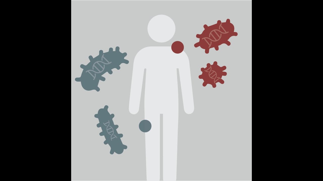 Advanced Microbiome Analysis 2024 | 02: MAG Assembly and Binning - YouTube