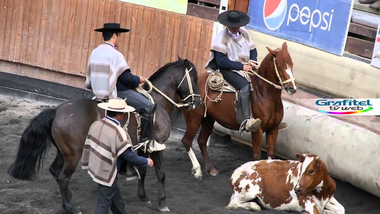 Rodeo Chileno - Lautaro Chile - YouTube