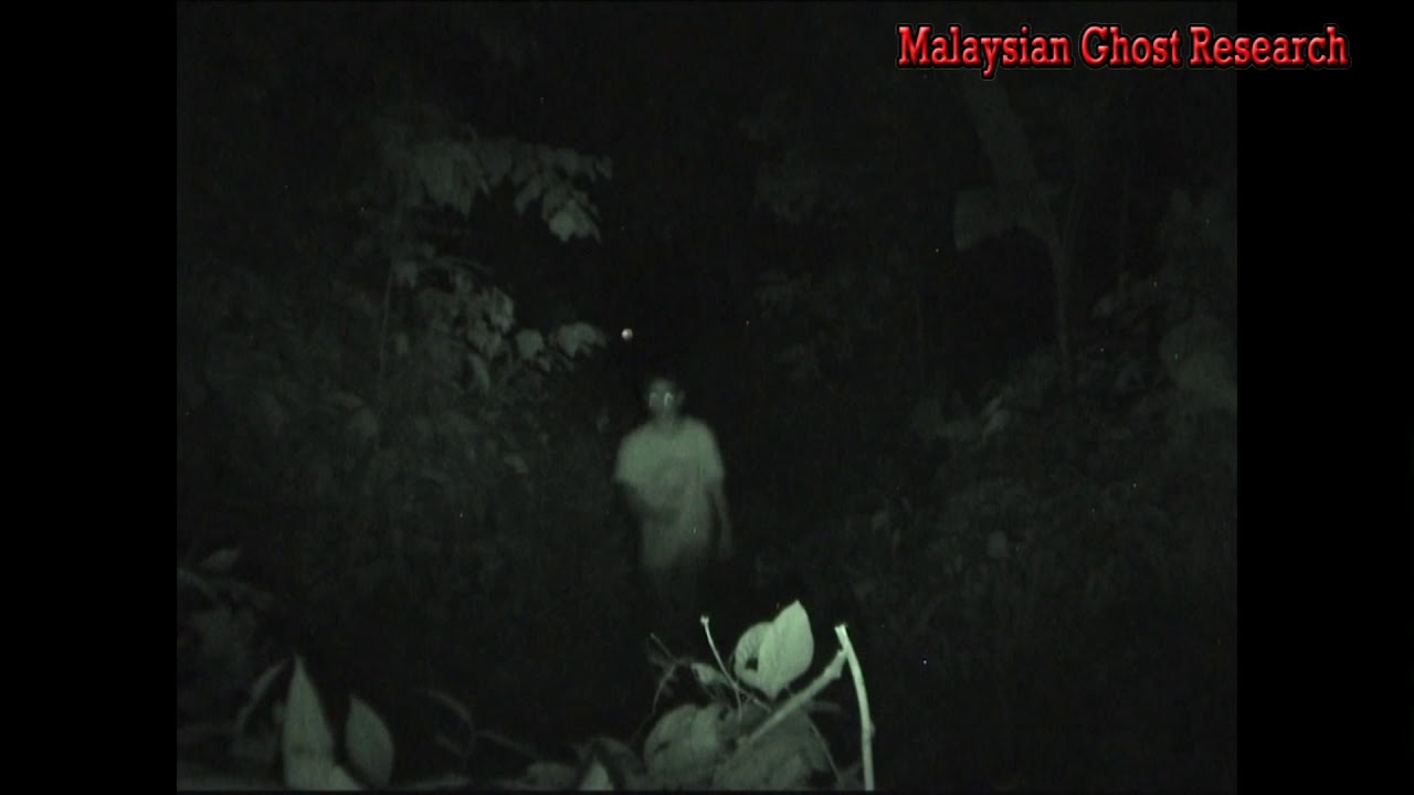 Malaysian Ghost Research The Most Active Spirits Nature Activities of ...