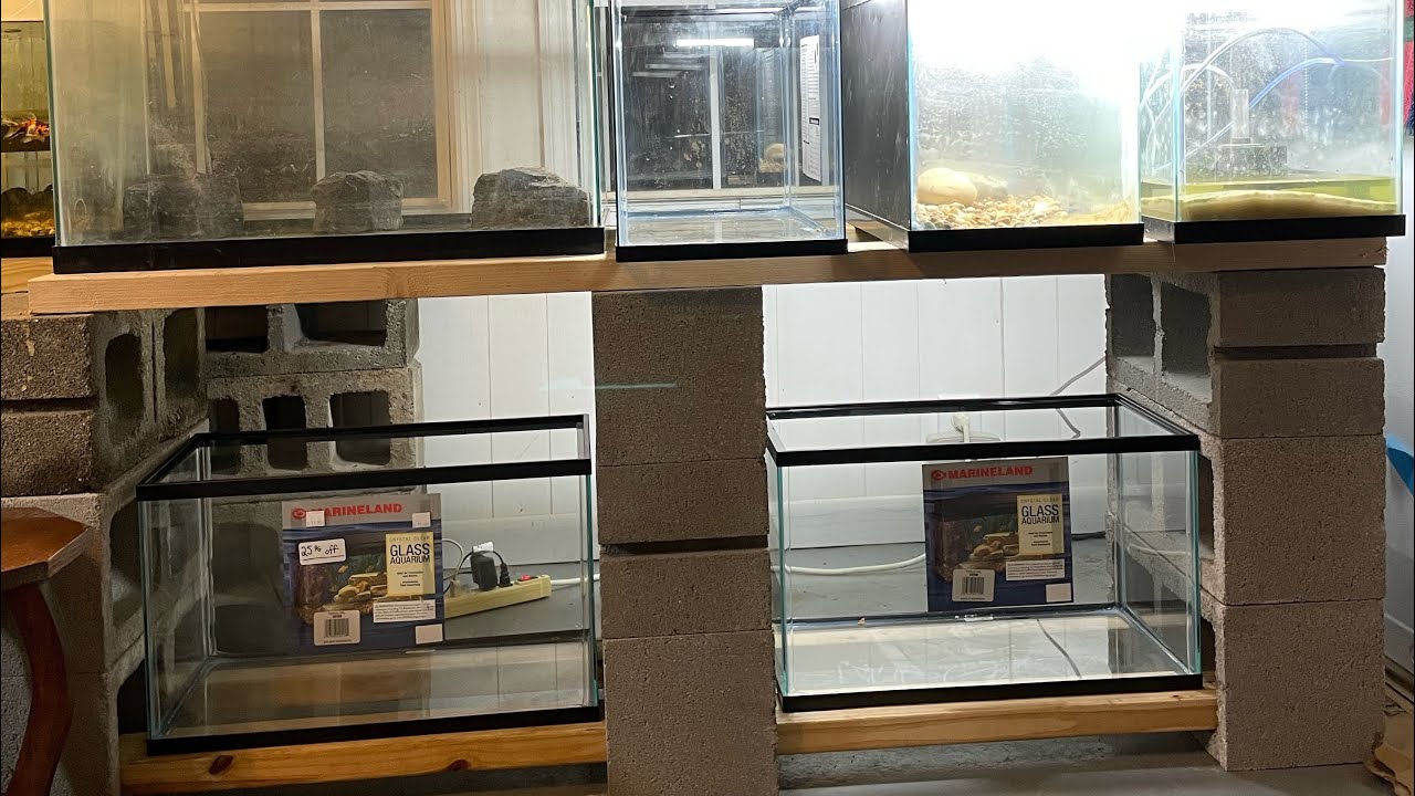 Building a aquarium rack! - YouTube