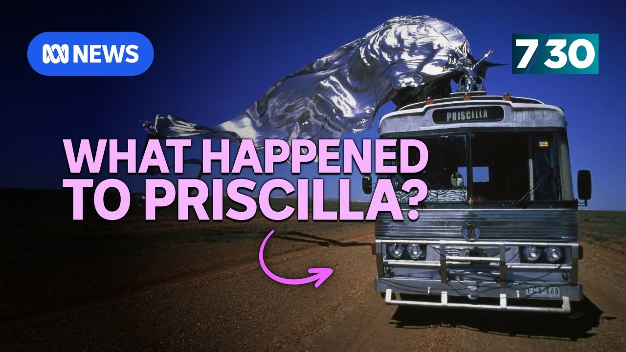 The search for the missing bus from Priscilla, Queen of the Desert | 7. ...