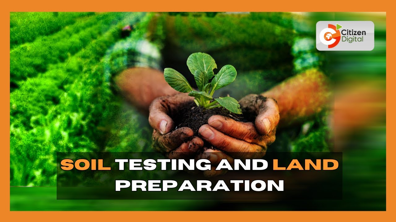 | Kenya's Gold | Soil Testing and Land Preparation - Gold Chat (Part 2 ...