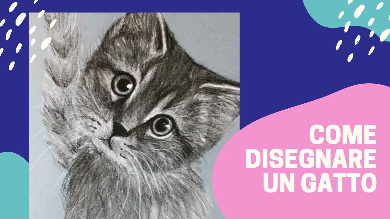 Come disegnare un gatto. How to Draw a cat. Comment dessiner un chat ...