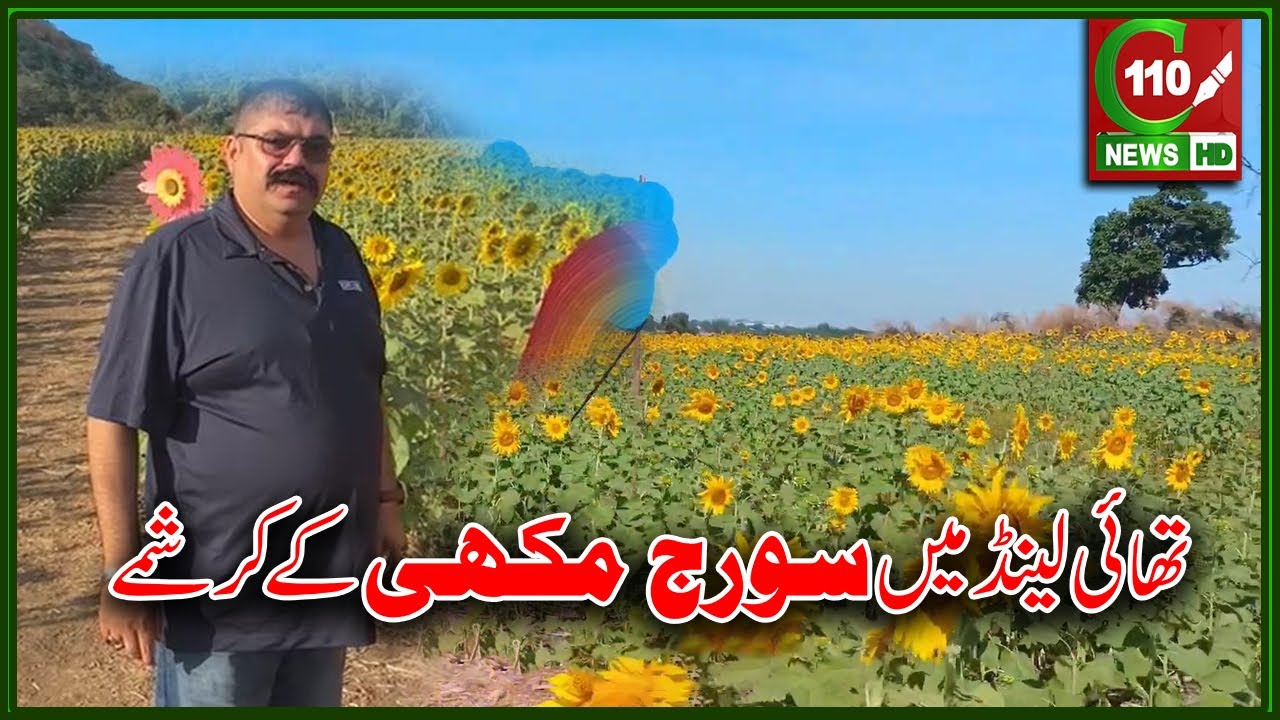 THAILAND: SOORAJ MUKHI KAY KARISHME | C110NEWS HD | REPORTED BY SAMEER ...